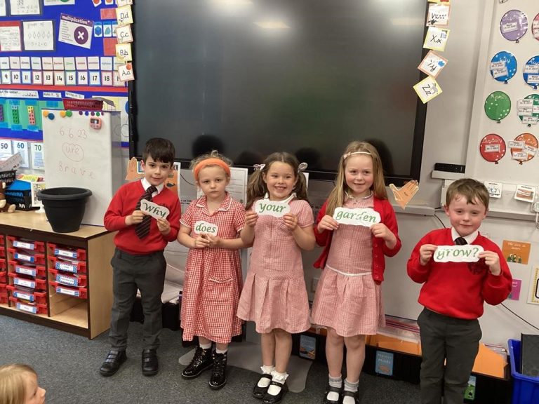Year 2 – Christ Church C of E (c) Primary School